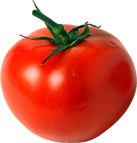 Bio Tomaten - so Rot und so Gesund!